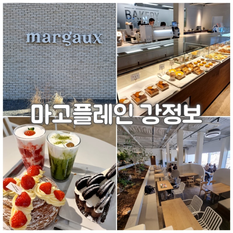 대구 다사 강정보 대형카페 마고플레인 강정보점 베이커리and디저트 까페 네이버 블로그