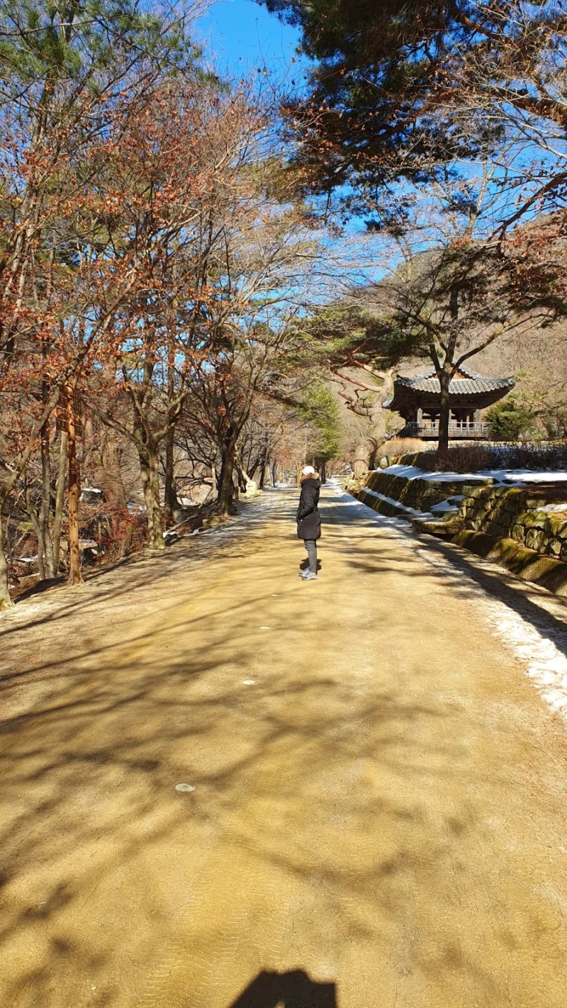 문경새재 도립공원 과거길 산책 문경 오픈세트장 문경가볼만한 곳 네이버 블로그