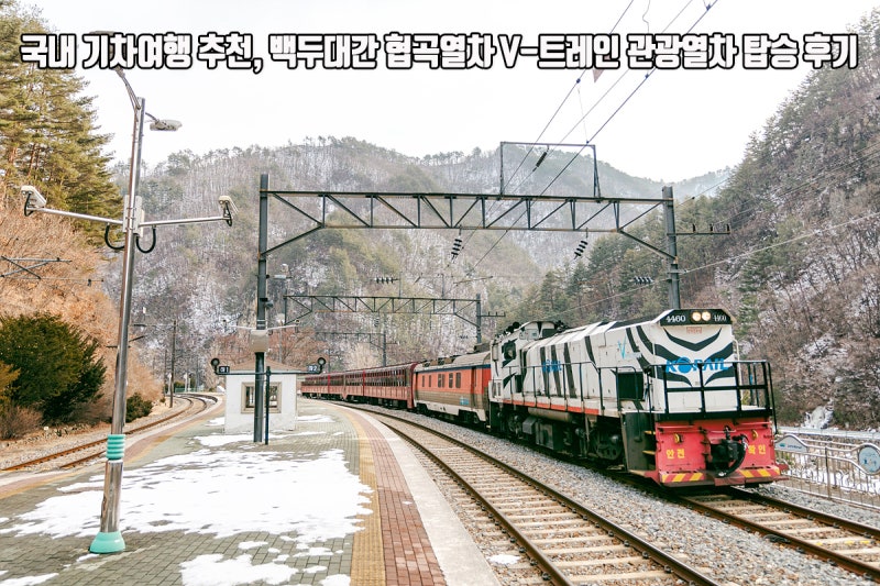 국내 기차여행 추천 백두대간 협곡열차 V-트레인 관광열차 탑승 후기 : 네이버 블로그