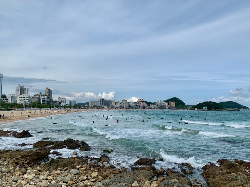 트레킹 코스로 좋은 부산 해파랑길 1~4코스부산 산책로 네이버 블로그