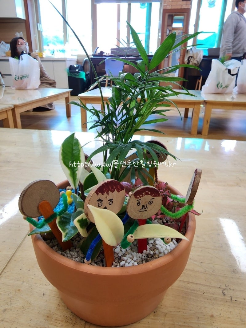 경상북도 특수교육 공모사업 정다운학교 대구경북 봉화지역 특수교육 장애인교육 원예치료테라피 가족화분꾸미기 네이버 블로그