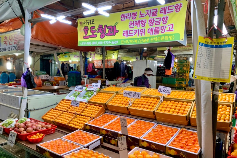 제주5일장 총정리 제주민속오일장 시장 먹거리 네이버 블로그