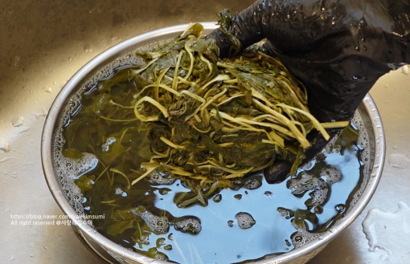 건취나물볶음 부드럽게 건취나물 삶기 삶는법 말린 취나물볶음 만드는법 네이버 블로그