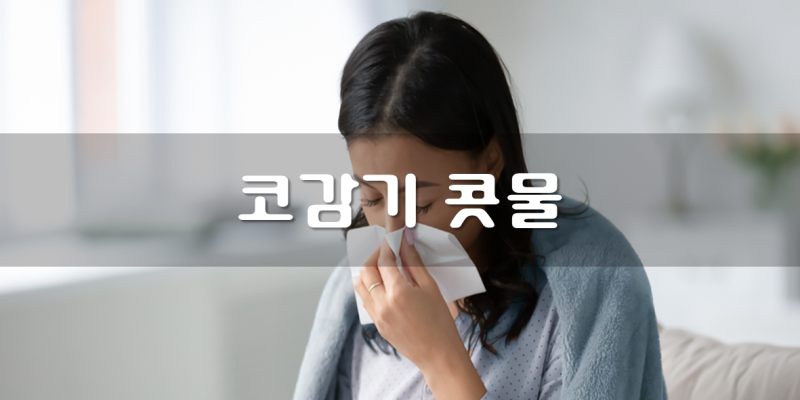 액티피드 액티피드정 코감기 재채기 콧물 코막힘 감기약 약국 성분 복용법 부작용 가격 1세대 항히스타민제 정 네이버 블로그
