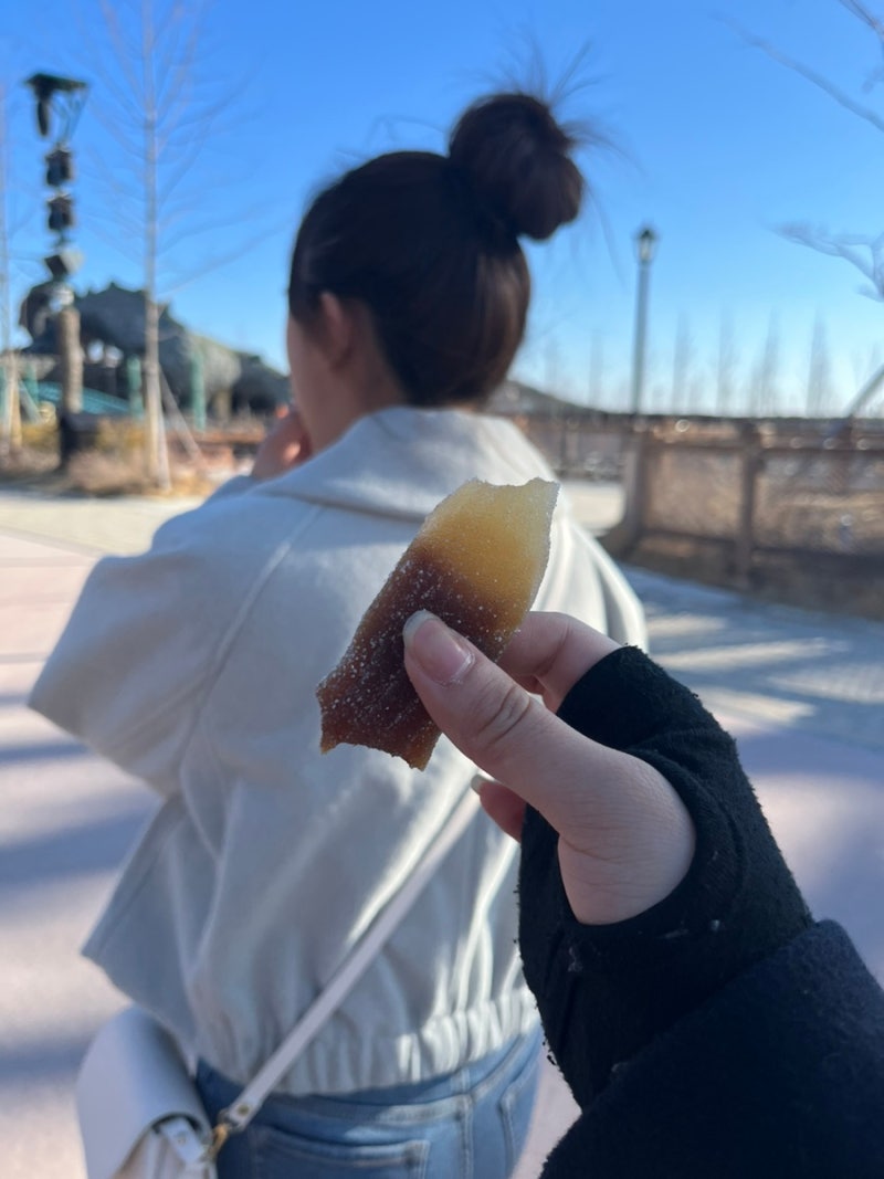 부산여행 및 그 외 : 네이버 블로그