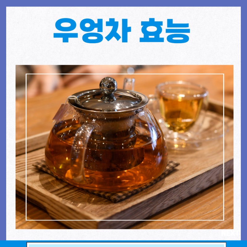 우엉 효능 부작용 칼로리 우엉차효능 임산부 네이버 블로그