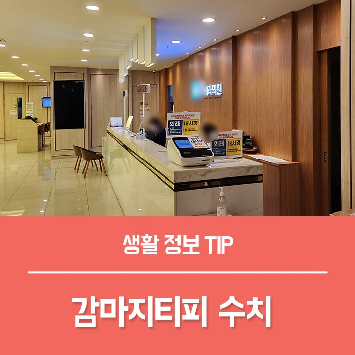 감마지티피 수치 간기능 수치 간수치 정상범위 Alt Ast 검사 Alp 수치 총정리 네이버 블로그