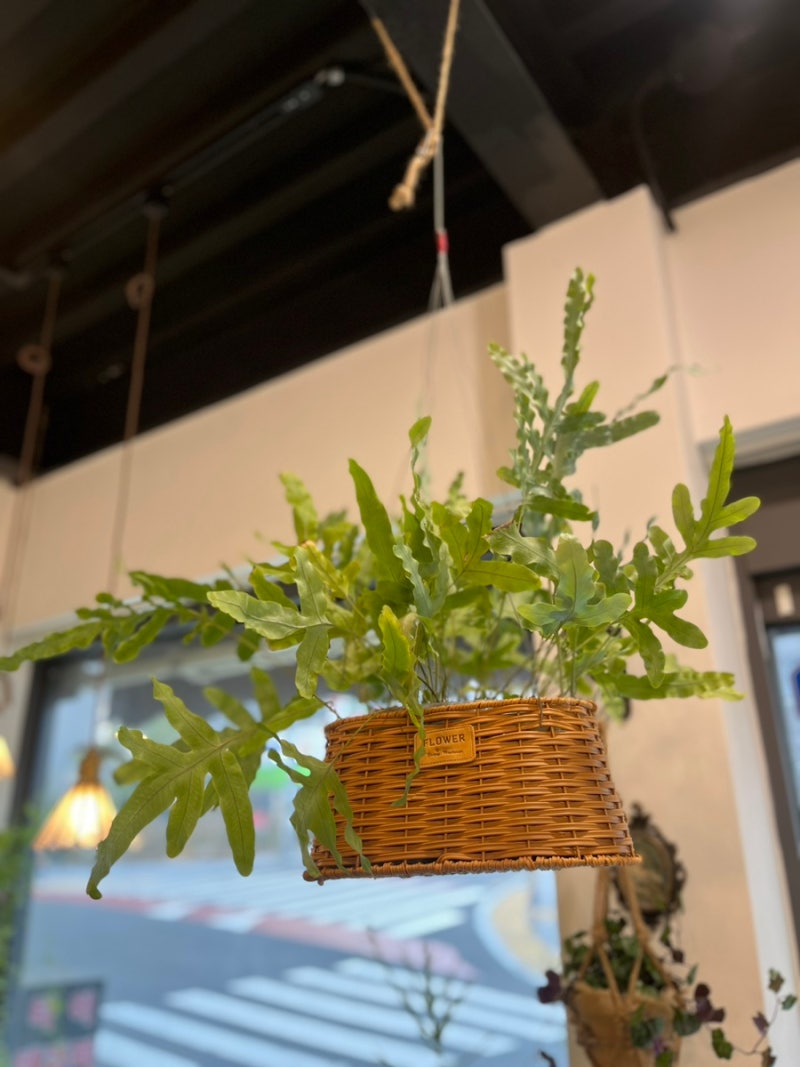 부산 연산동 꽃집 발렌타인데이 꽃다발 추천 아뜰리에 이브아 네이버 블로그