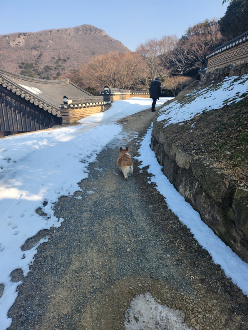 일지암과 초의선사 : 네이버 블로그