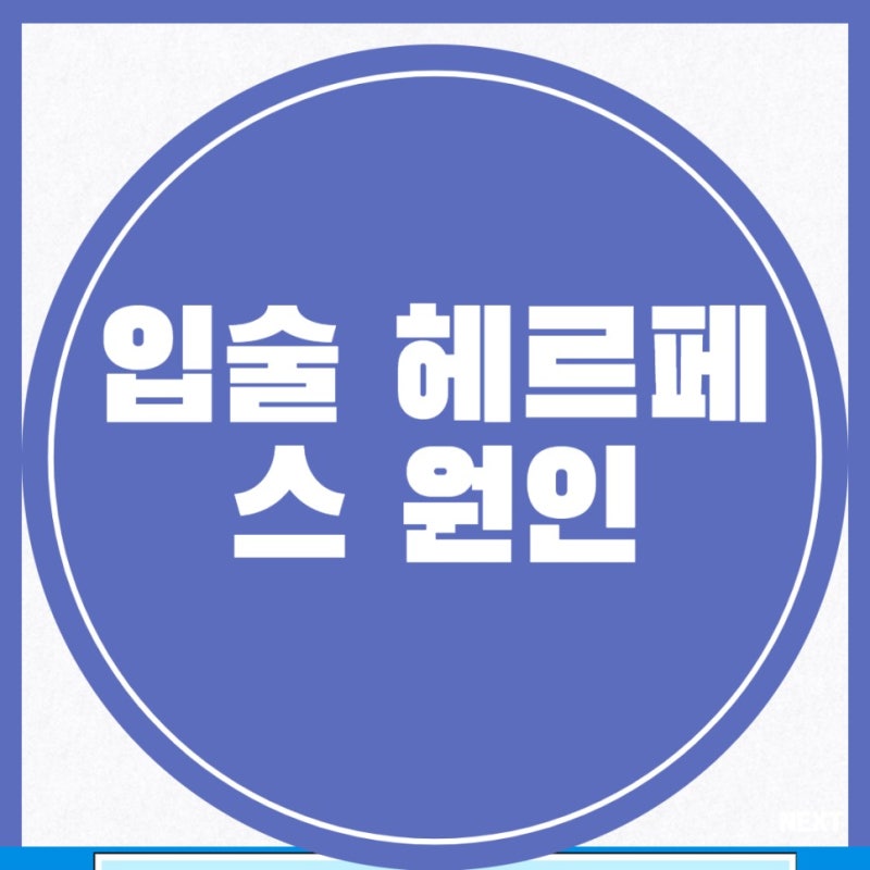 입술 헤르페스 증상 입술 수포 구순포진 치료 입술 물집 예방 네이버 블로그