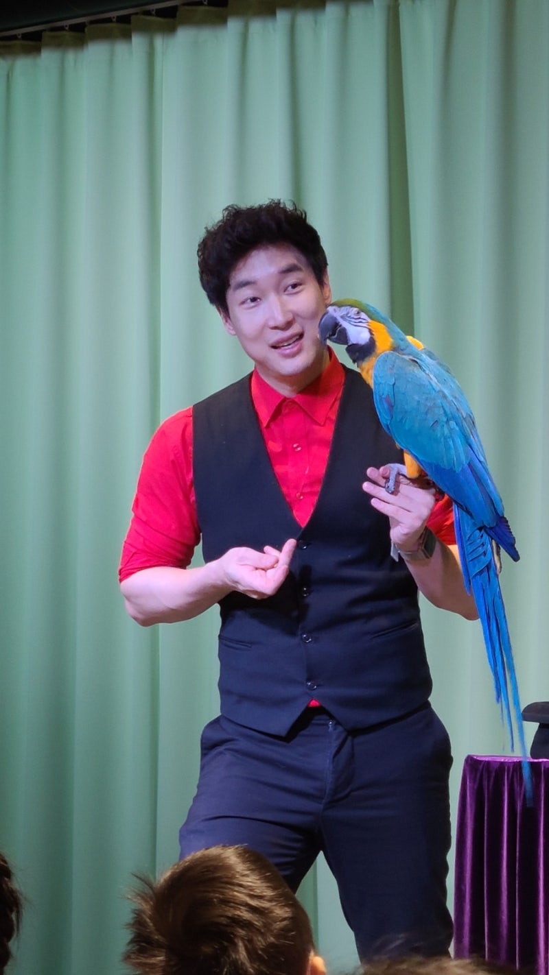 어린이 마술쇼 공연 요리하는 마술사 성남소극장 쿠키 만들기 네이버 블로그
