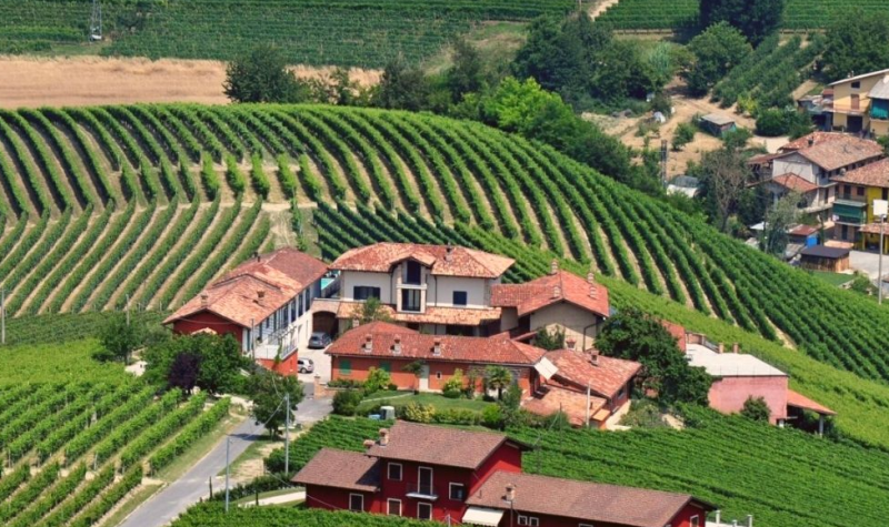 Elio Altare, Langhe Larigi 2010 (엘리오 알타레, 랑게 라리지 2010) + Barolo Boys ...