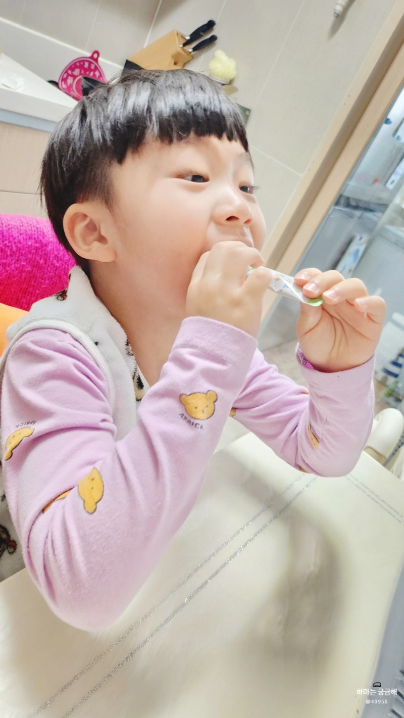 키즈유산균 추천 단비 100억 유산균 키즈톡톡 네이버 블로그