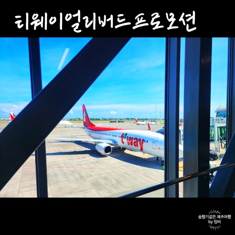 티웨이 메가얼리버드 특가 프로모션 홈페이지 서버다운 결국 일정조정 네이버 블로그