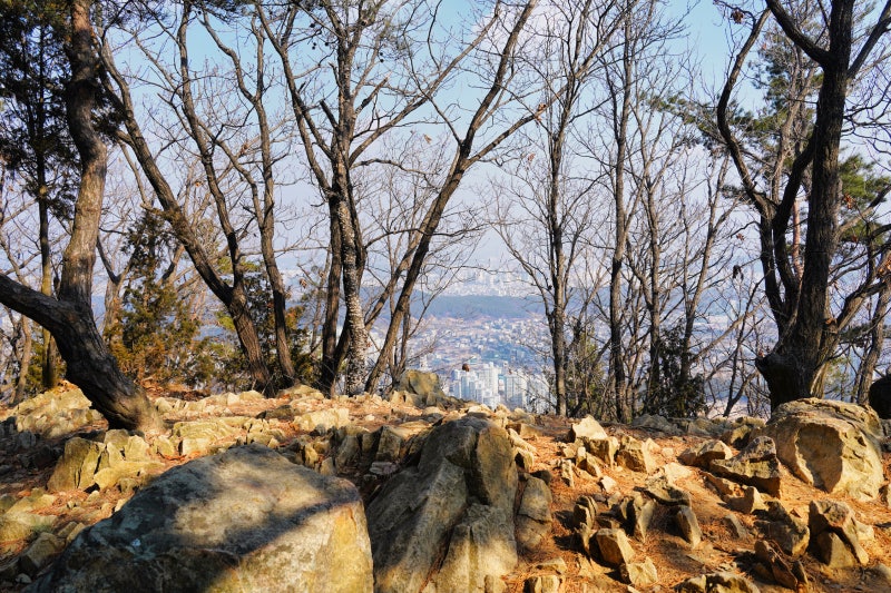 등산초보도 가능한 대전 계룡산 수통골 빈계산 산행 코스 네이버 블로그