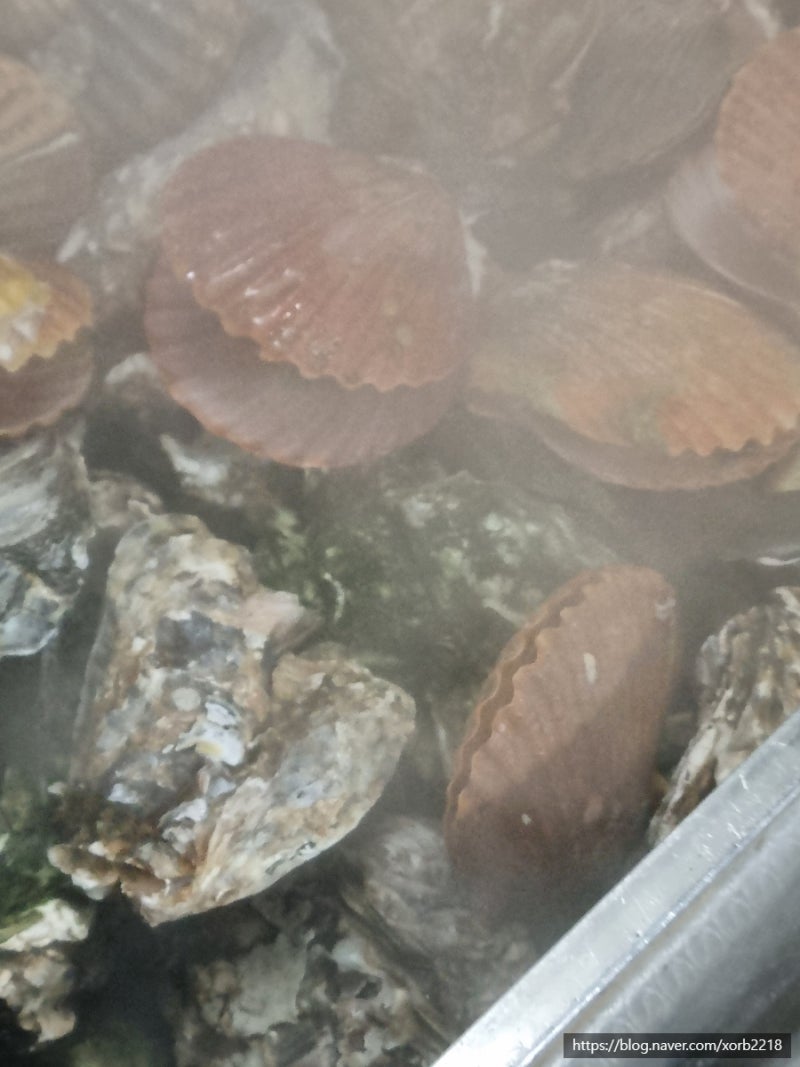 사천 맛집으로 유명한 가성비도 좋고 맛도 좋은 사천 비토섬 비토펜션에서 신나는 갯벌체험 네이버 블로그