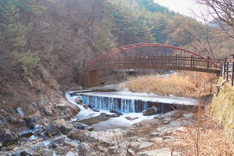 등산초보도 가능한 대전 계룡산 수통골 빈계산 산행 코스 네이버 블로그