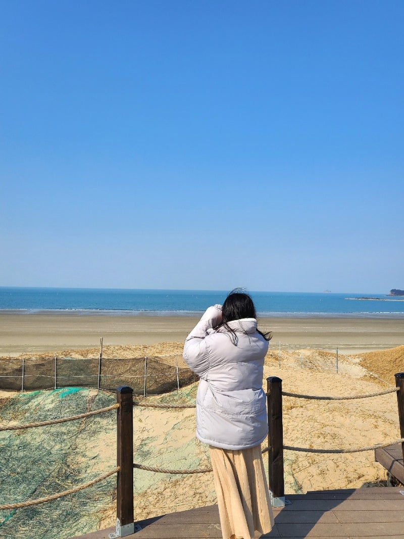 태안 여행 신두리해안사구 사막 주말 갈만한곳 네이버 블로그