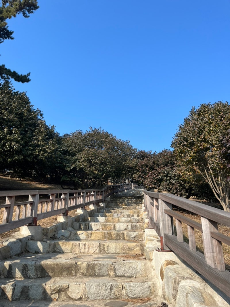 서천 겨울여행 마량리 동백나무숲동백 개화시기 입장료 네이버 블로그