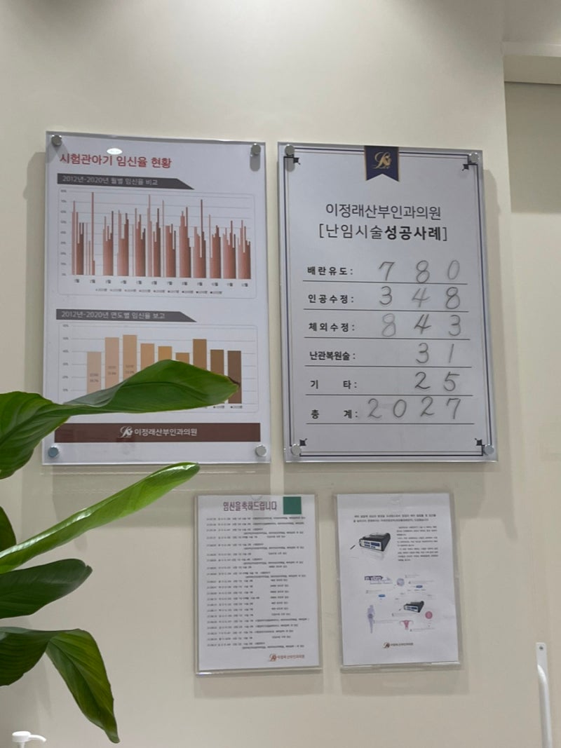 시험관 동결2차 자연주기 임신 1차 2차 기형아검사 임신성공 난임병원졸업 평택 이정래산부인과 네이버 블로그