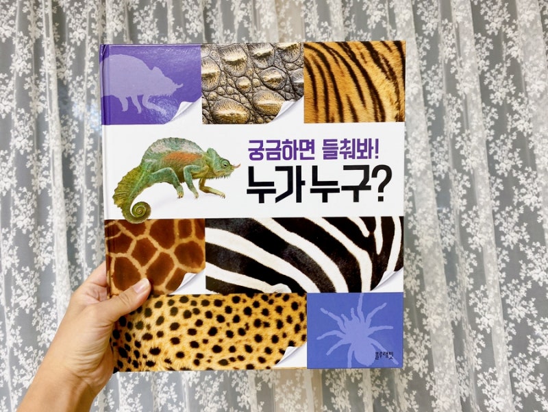자연관찰 플랩북 블루래빗 궁금하면 들춰봐 누가누구 네이버 블로그