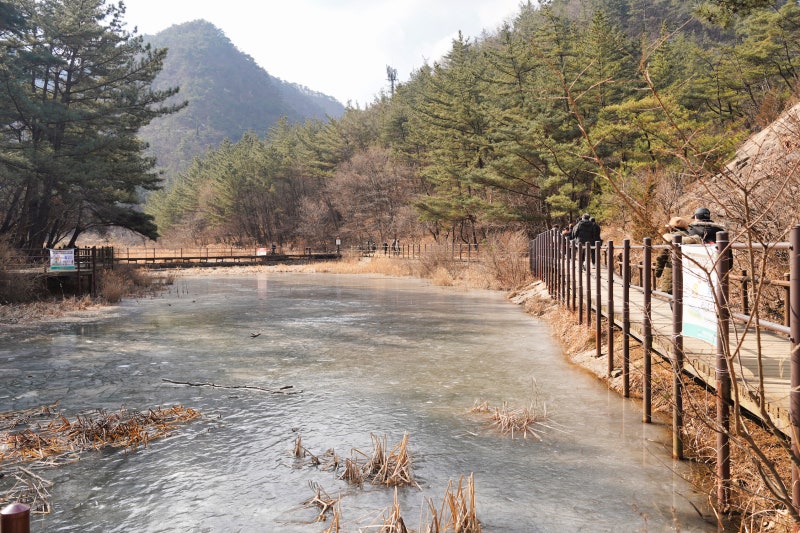 등산초보도 가능한 대전 계룡산 수통골 빈계산 산행 코스 네이버 블로그