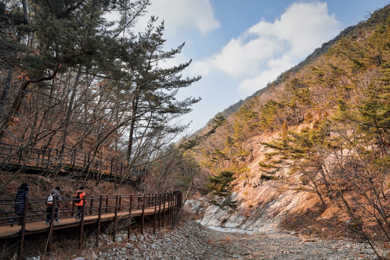 등산초보도 가능한 대전 계룡산 수통골 빈계산 산행 코스 네이버 블로그