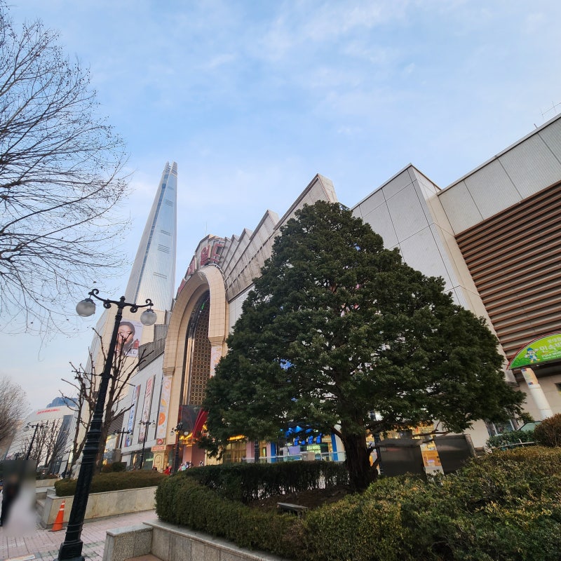 롯데월드 아이랑 탈만한 유아 놀이기구 언더랜드 와일드투어 네이버 블로그