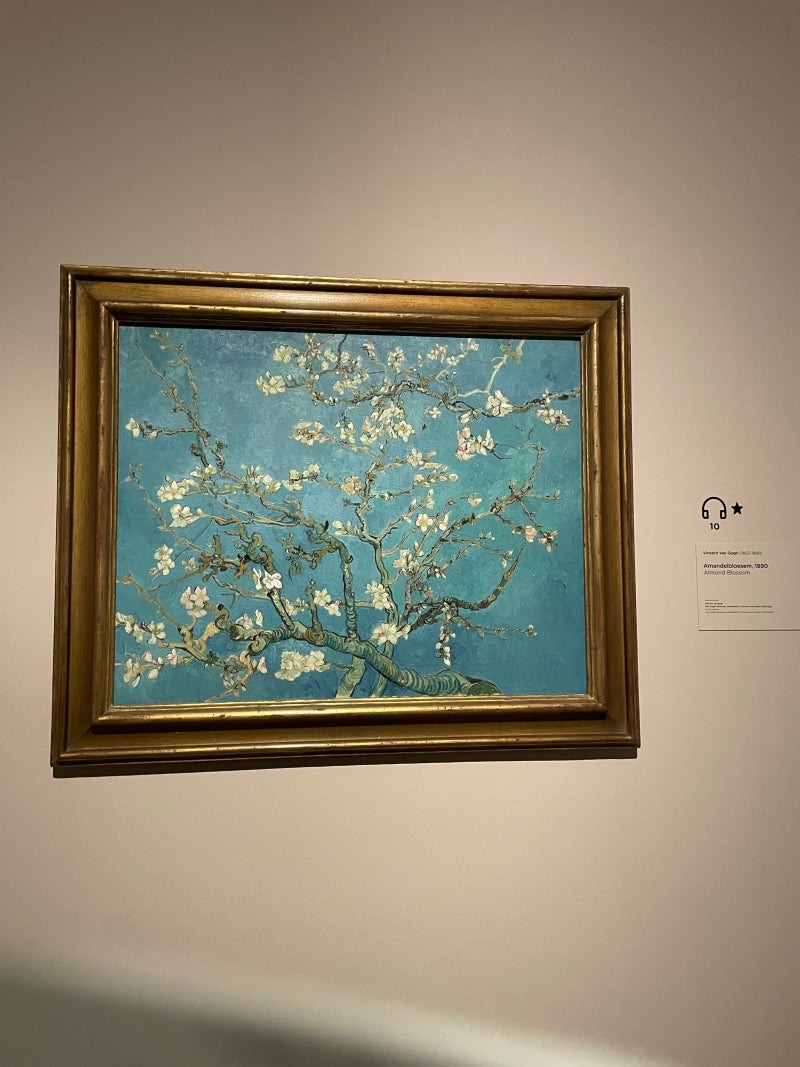 [네덜란드] 반 고흐 미술관 Van Gogh Museum 알아두면 좋은 정보들 예약하는 법 후기 뮤지엄 기념품샵