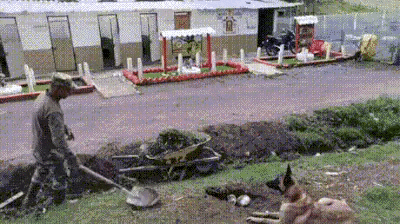 [5ch VIP] 간만에 재밌는 GIF 올리자wwwwwwwwwwww : 네이버 블로그