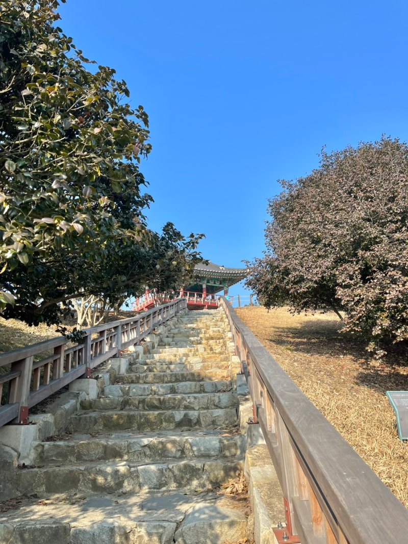 서천 겨울여행 마량리 동백나무숲동백 개화시기 입장료 네이버 블로그