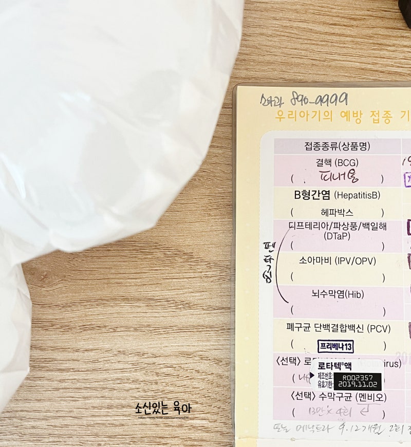 일본뇌염 생백신 사백신 예방접종 돌접종 접종열 날때 네이버 블로그
