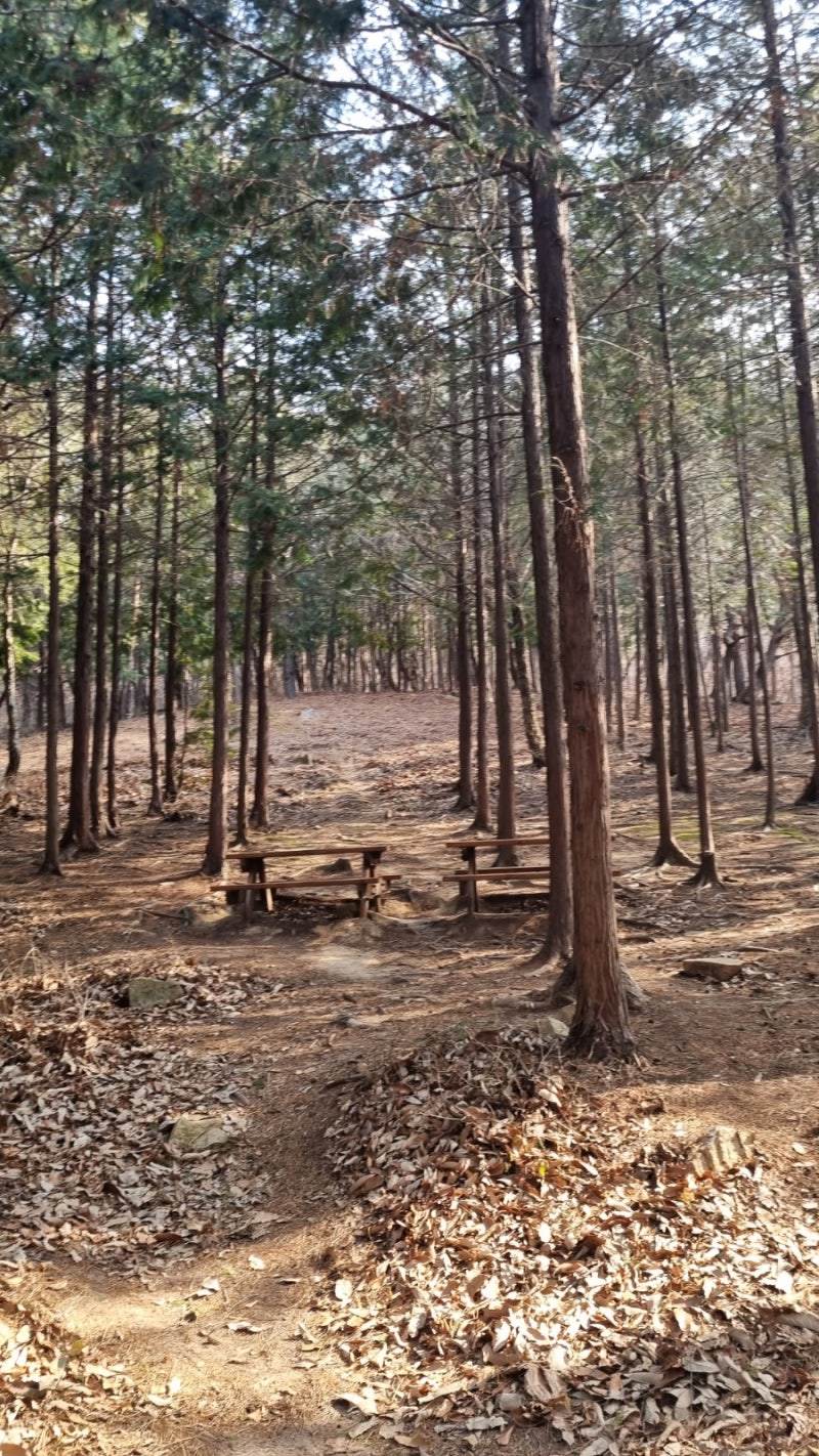울산 가볼만한곳 산책하고 피크닉 하기 좋은 천마산 편백산림욕장 아이들을 위한 공간도 있어요만석골 저수지 네이버 블로그