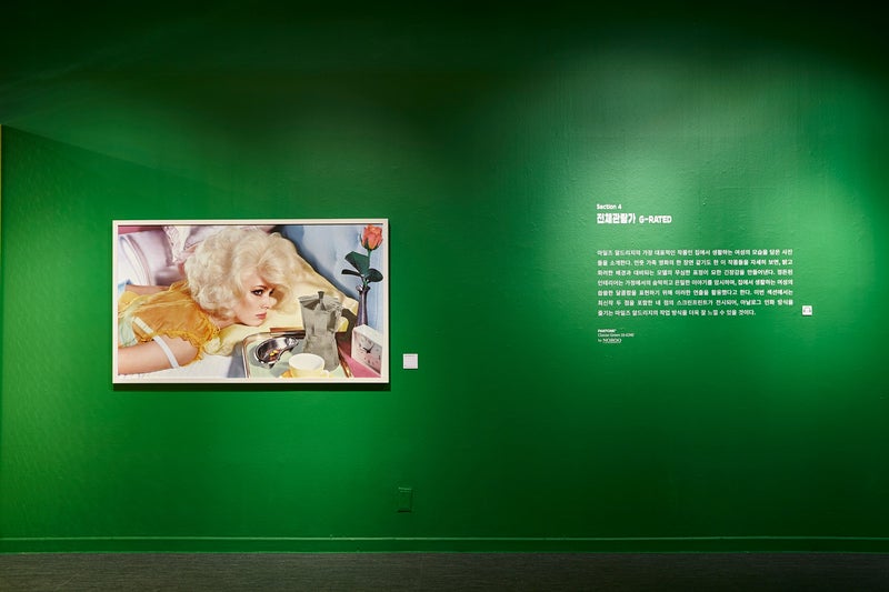 2023 봄 유행 컬러 총집합! 팬톤 패션 트렌드 컬러 리포트 1. 뉴욕 편 : 네이버 블로그