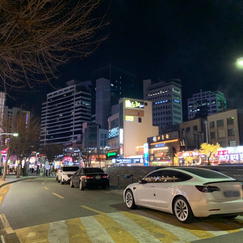 홍대 횟집 두꺼비 숙성 횟집 홍대 본점 두툼하고 신선한 숙성회 홍대입구역 술집 네이버 블로그