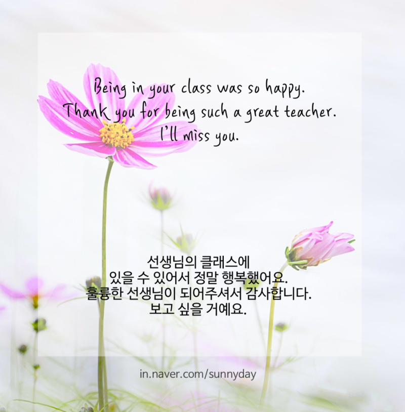 선생님께 보낼 편지 내용으로 쓰기 좋은 감사 인사 문구 글귀 Best 7 네이버 블로그