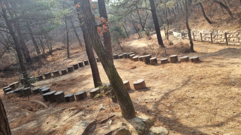 울산 가볼만한곳 산책하고 피크닉 하기 좋은 천마산 편백산림욕장 아이들을 위한 공간도 있어요만석골 저수지 네이버 블로그