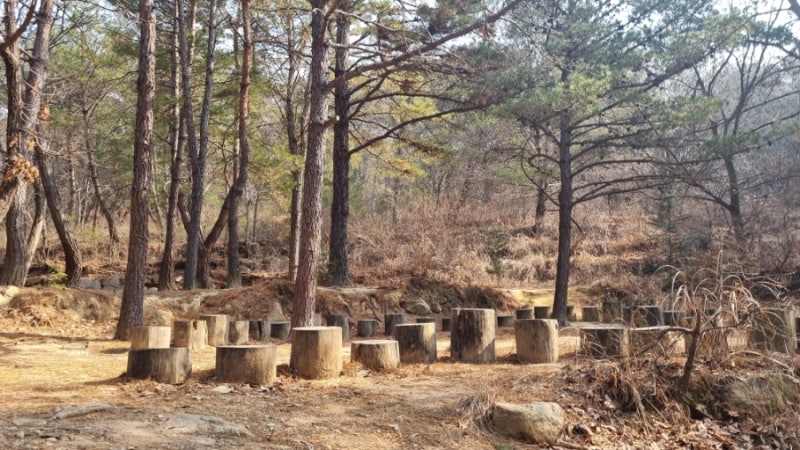 울산 가볼만한곳 산책하고 피크닉 하기 좋은 천마산 편백산림욕장 아이들을 위한 공간도 있어요만석골 저수지 네이버 블로그