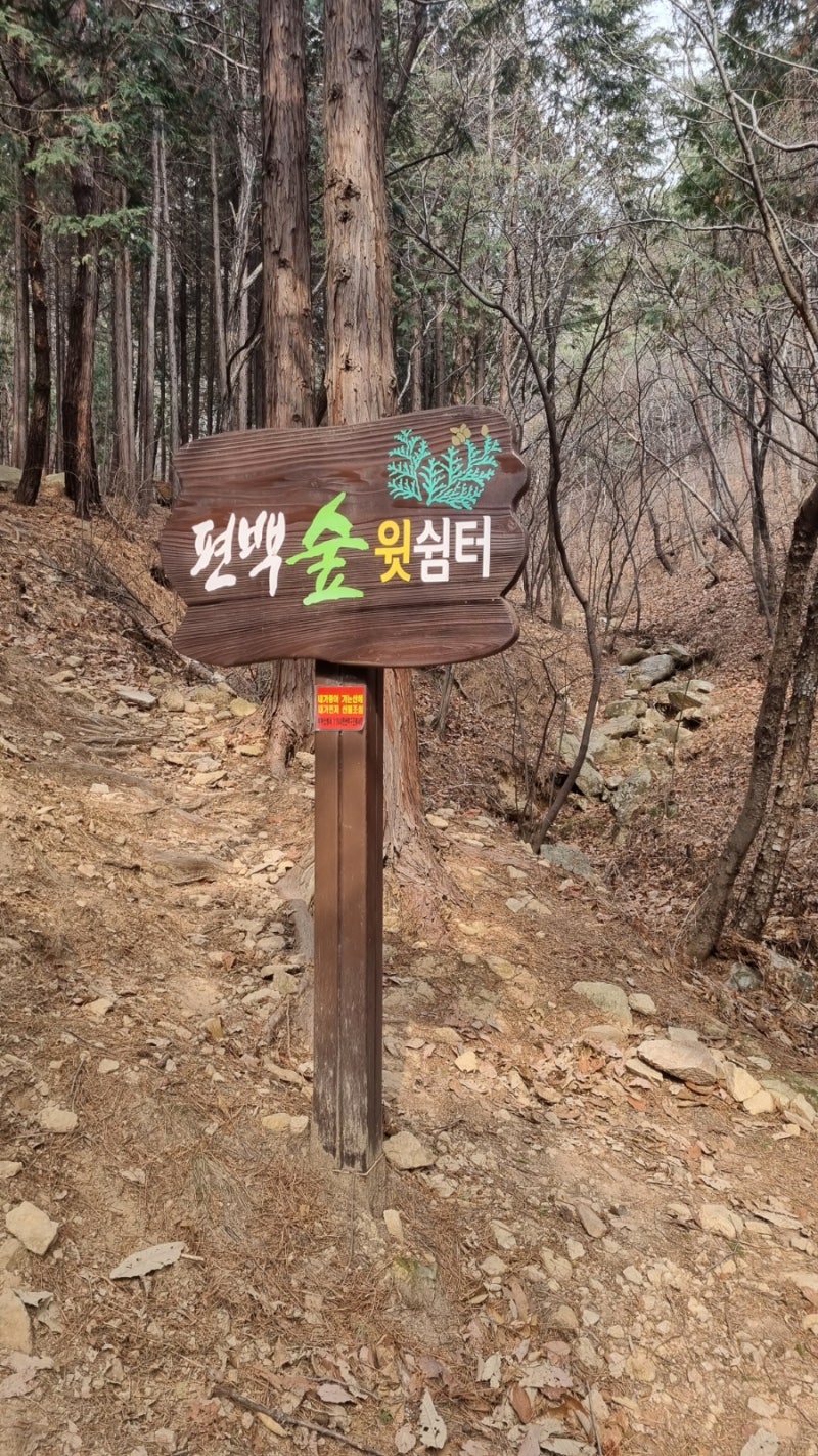 울산 가볼만한곳 산책하고 피크닉 하기 좋은 천마산 편백산림욕장 아이들을 위한 공간도 있어요만석골 저수지 네이버 블로그
