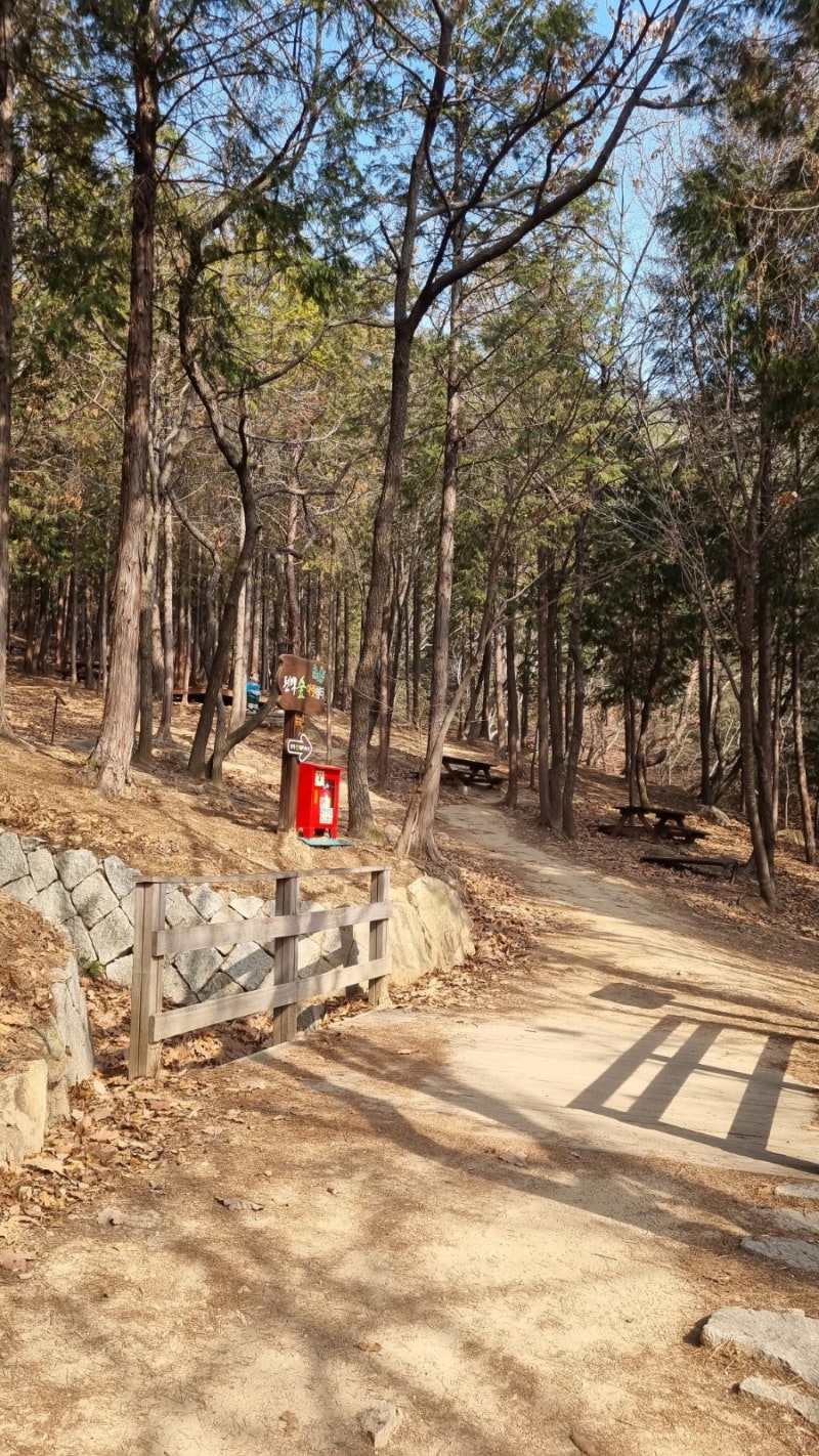 울산 가볼만한곳 산책하고 피크닉 하기 좋은 천마산 편백산림욕장 아이들을 위한 공간도 있어요만석골 저수지 네이버 블로그