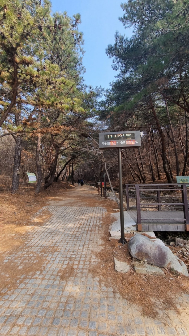 울산 가볼만한곳 산책하고 피크닉 하기 좋은 천마산 편백산림욕장 아이들을 위한 공간도 있어요만석골 저수지 네이버 블로그