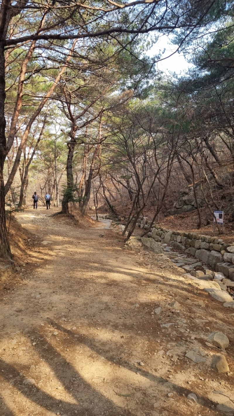 울산 가볼만한곳 산책하고 피크닉 하기 좋은 천마산 편백산림욕장 아이들을 위한 공간도 있어요만석골 저수지 네이버 블로그