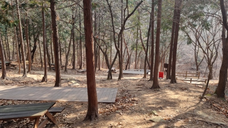 울산 가볼만한곳 산책하고 피크닉 하기 좋은 천마산 편백산림욕장 아이들을 위한 공간도 있어요만석골 저수지 네이버 블로그