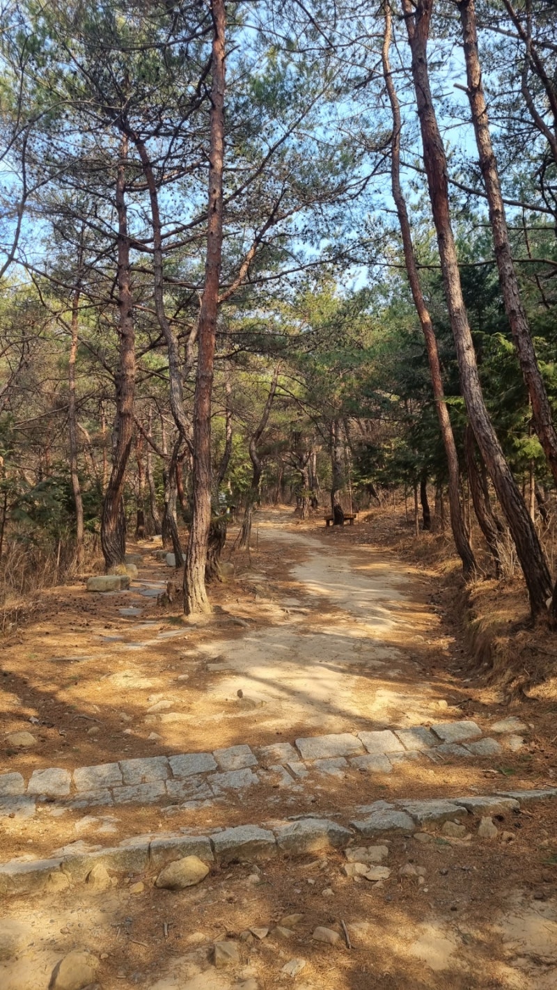 울산 가볼만한곳 산책하고 피크닉 하기 좋은 천마산 편백산림욕장 아이들을 위한 공간도 있어요만석골 저수지 네이버 블로그