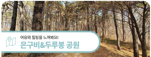 대전 유성구 명소 산책하기 좋은 곳 여유와 힐링을 느껴봐요 은구비공원 And 두루봉 공원 네이버 블로그