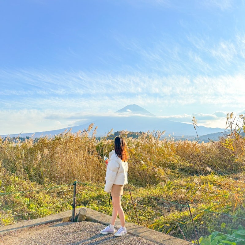 도쿄 근교 소도시 가와구치코 여행 1day 버스 투어 원데이 티켓 여행코스 네이버 블로그