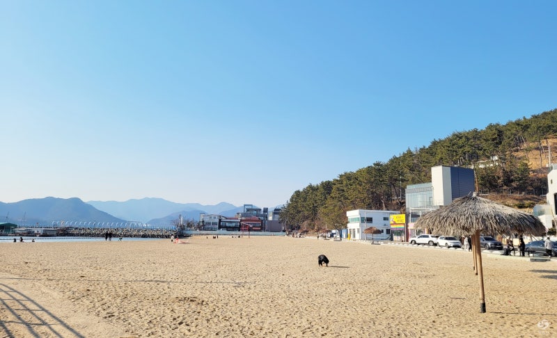 창원 유일한 해수욕장 광암해수욕장🏖️ 마산 바다 가볼 만한 곳 네이버 블로그