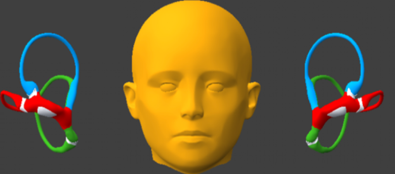 어지럼증의 가장 흔한 질환! (1) - 이석증(BPPV)의 원인, 증상, 진단 : 네이버 블로그