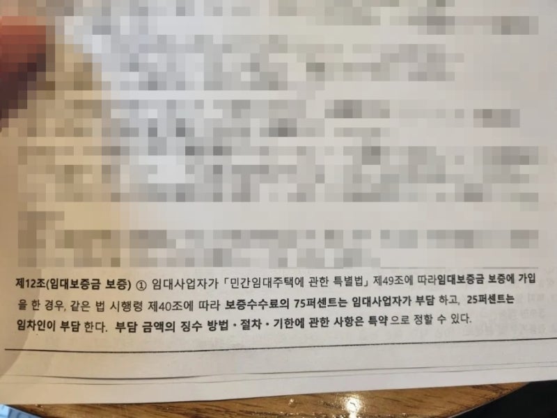 청년 버팀목 전세자금대출 후기2탄 사전자산심사 적격 및 은행 대출 승인 완료2일 소요 네이버 블로그