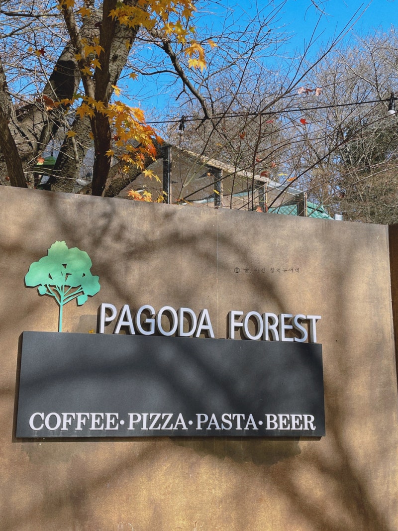 천안 파고다포레스트 목천 화덕피자 맛집 : 네이버 블로그